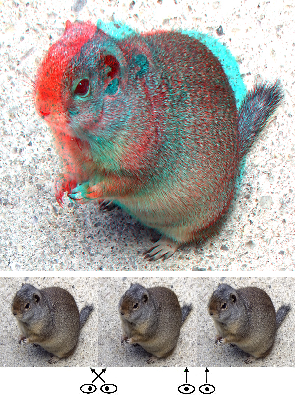 3dDigitalPhoto.Com -- Image of the Week