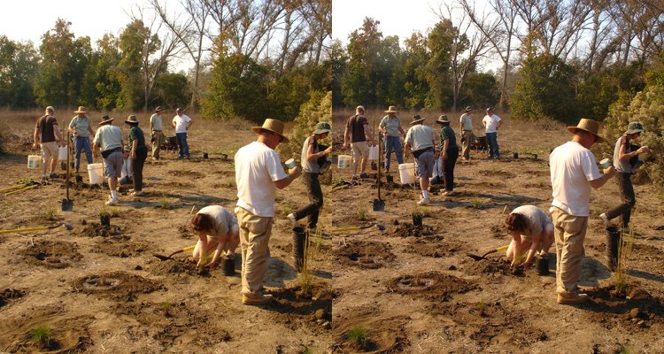 3dDigitalPhoto.Com Crossviewing Tutorial