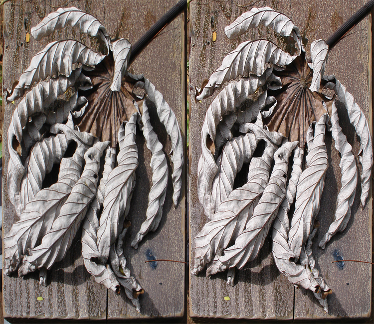 3dDigitalPhoto.Com Crossviewing Tutorial