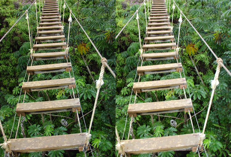 3dDigitalPhoto.Com Crossviewing Tutorial