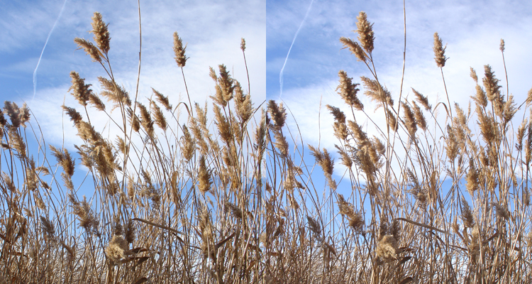 3dDigitalPhoto.Com Crossviewing Tutorial