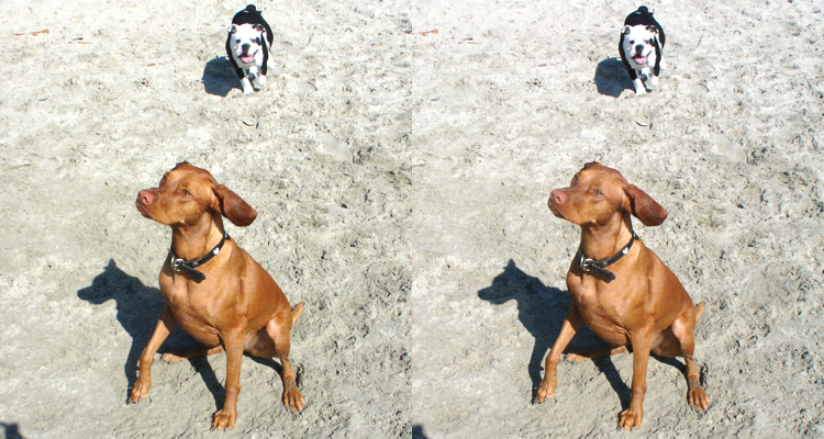 3dDigitalPhoto.Com Crossviewing Tutorial