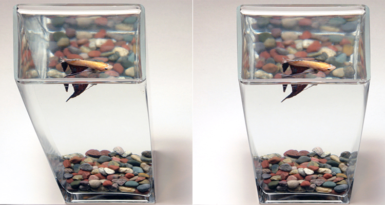 3dDigitalPhoto.Com Crossviewing Tutorial