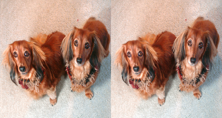 3dDigitalPhoto.Com Crossviewing Tutorial