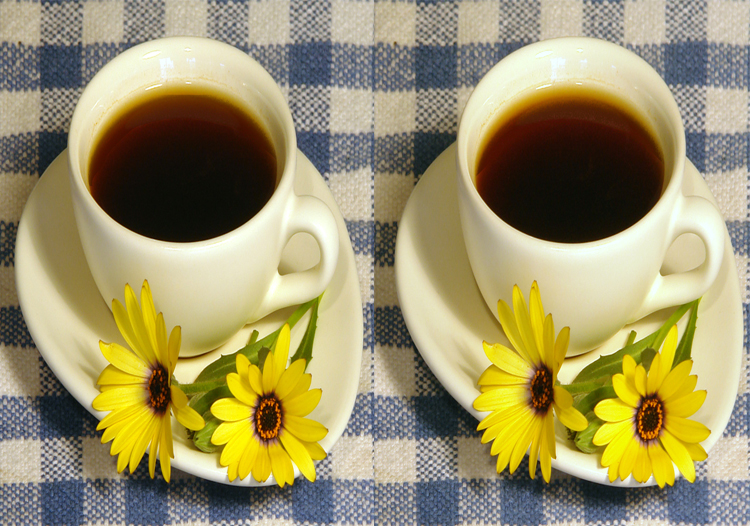 3dDigitalPhoto.Com Crossviewing Tutorial